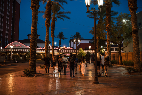 Immersive Tours – Las Vegas Guided Tours